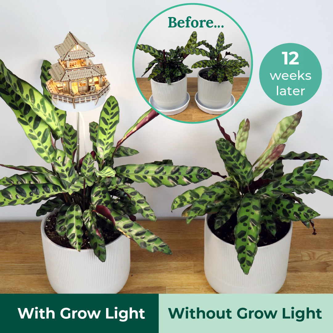 Grow Light Treehouses – DIY Kits with Built-In Grow Lights | Tiny ...